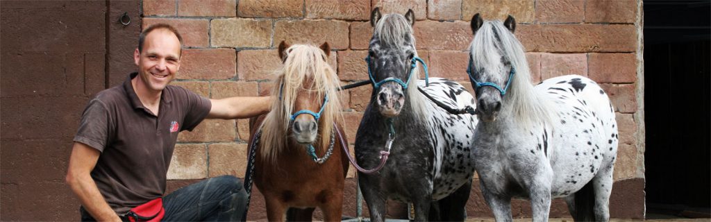 Alex – Huftechniker